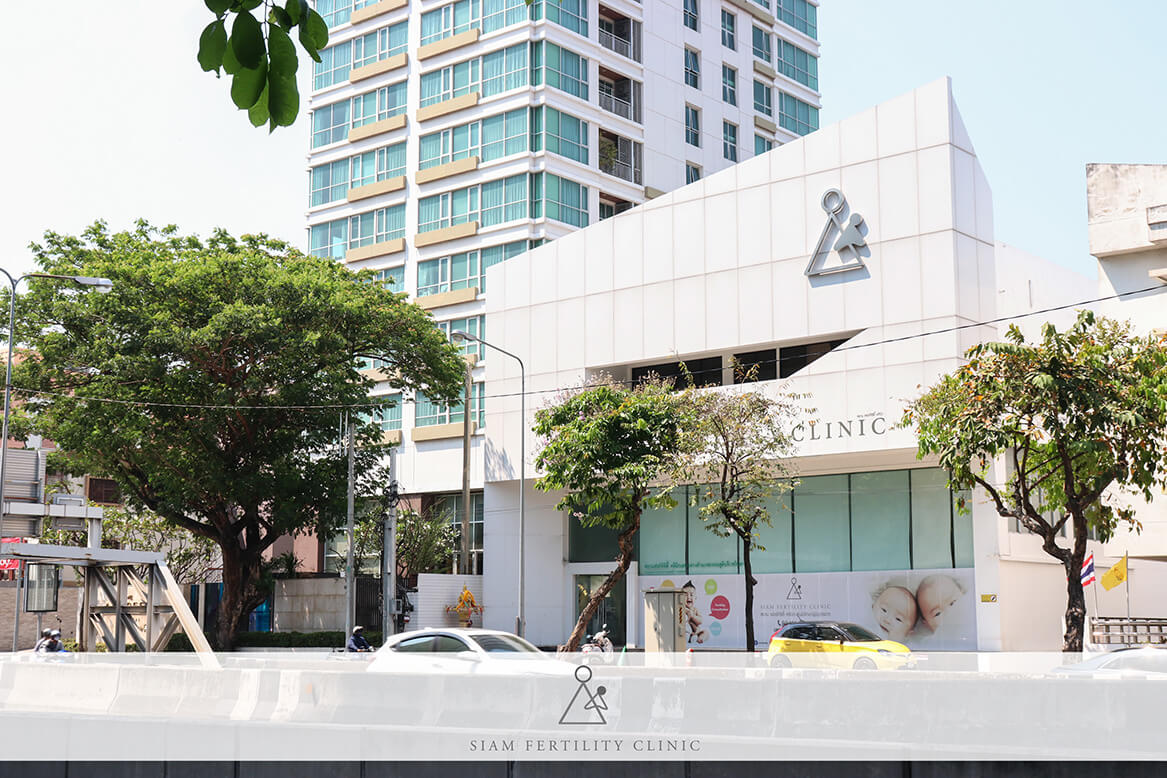 IVF Thailand – Siam Fertility Clinic provide affordable IVF/ICSI ...